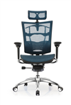 Multi-Adjustable - Posture Management Office Chair - Blue reviews ...