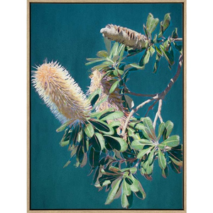 Twilight Banksia - Blonde Timber Look Box Frame Canvas - 75x100 ...