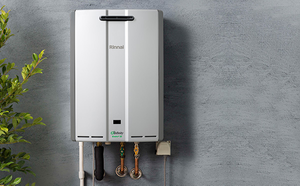 Rinnai Infinity 32 Enviro+ Continuous Flow Gas Hot Water - Natural Gas ...