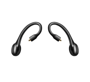 Shure TRUE WIRELESS SECURE FIT ADAPTER GEN 2 reviews - Minidisc ...