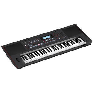 Roland EX50 Arranger Keyboard reviews - Austral Piano World - Trustpilot